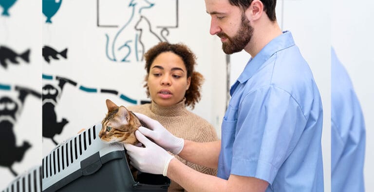 ¿Cuáles son las funciones de un auxiliar veterinario?